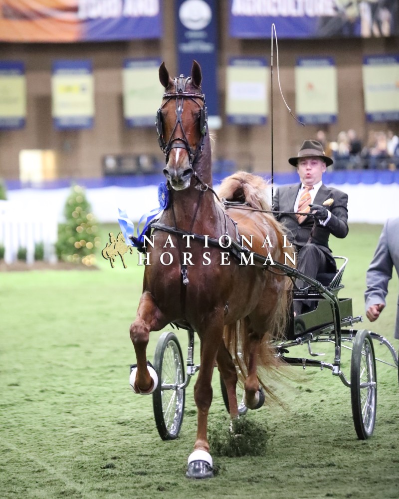 UPHA American Royal 2024 - Monday - National Horseman