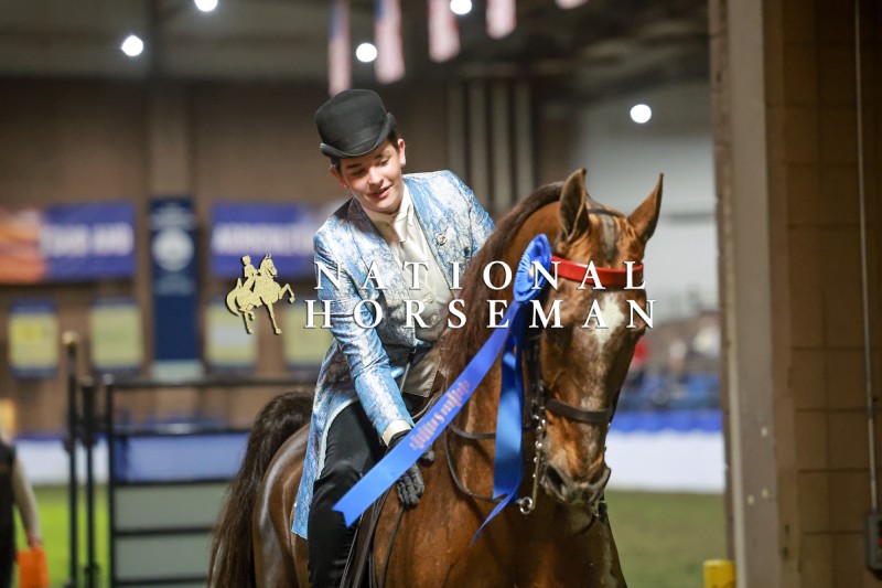 UPHA American Royal 2024 - Wednesday - National Horseman