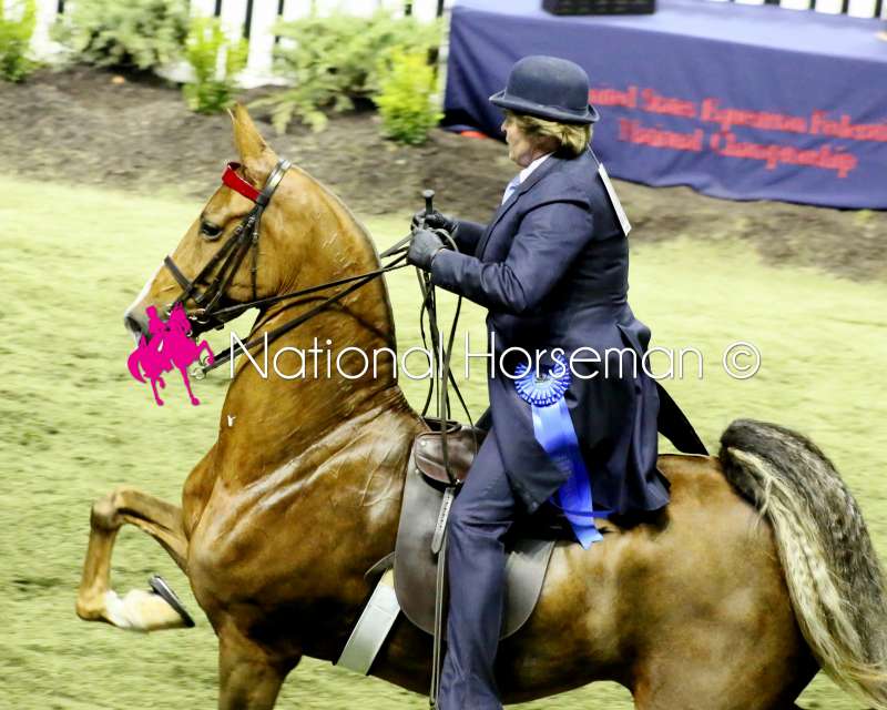 UPHA/American Royal '14 - National Horseman