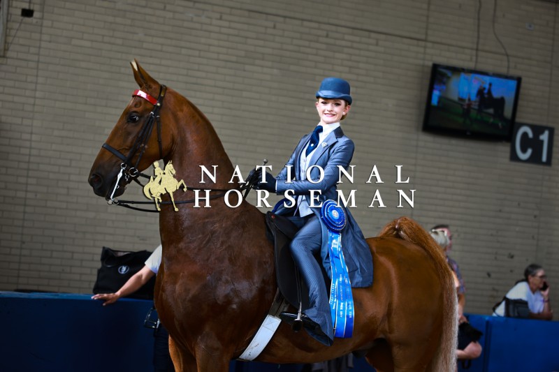 World's Championship Horse Show - Monday AM 8/21 - National Horseman